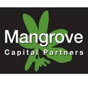 Mangrove Capital Partners- - 亿欧网
