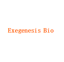 首发丨基因疗法企业Exegenesis Bio获B+轮融资